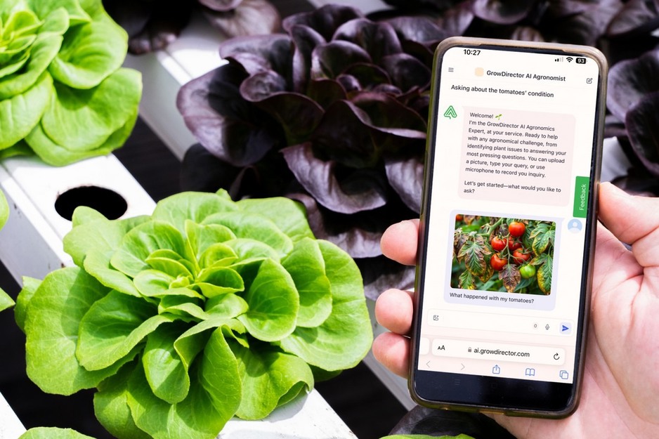 “AI tool brings knowledge of an agronomist to growers’ fingertips”