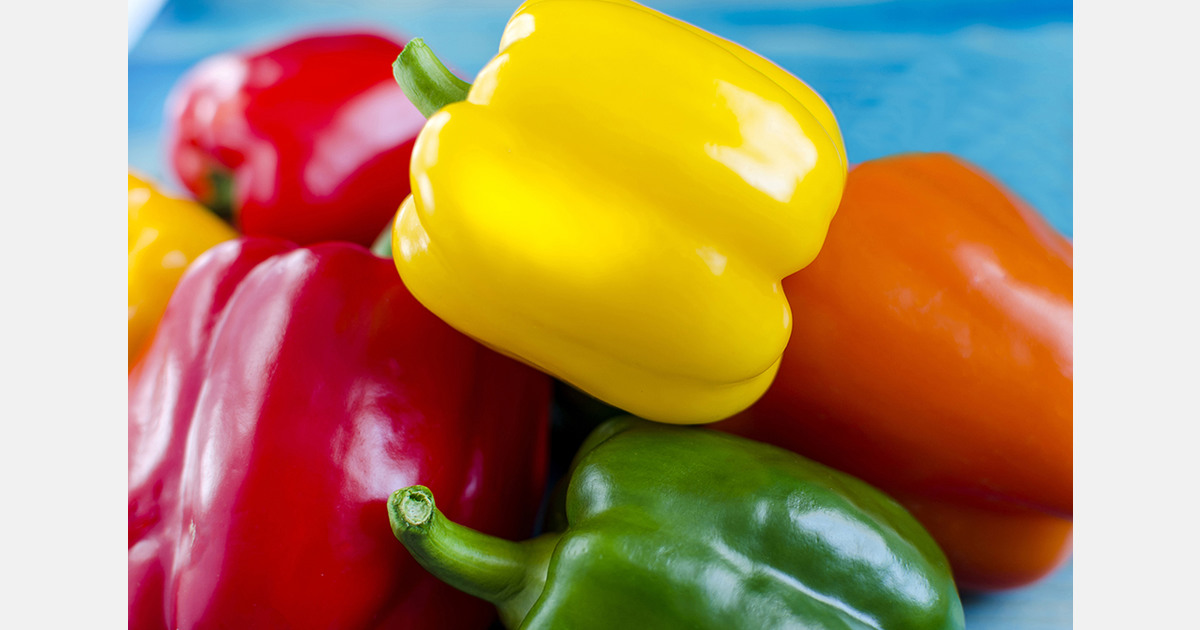 "Spanish pepper exports to the US have never reached 1% of the total"