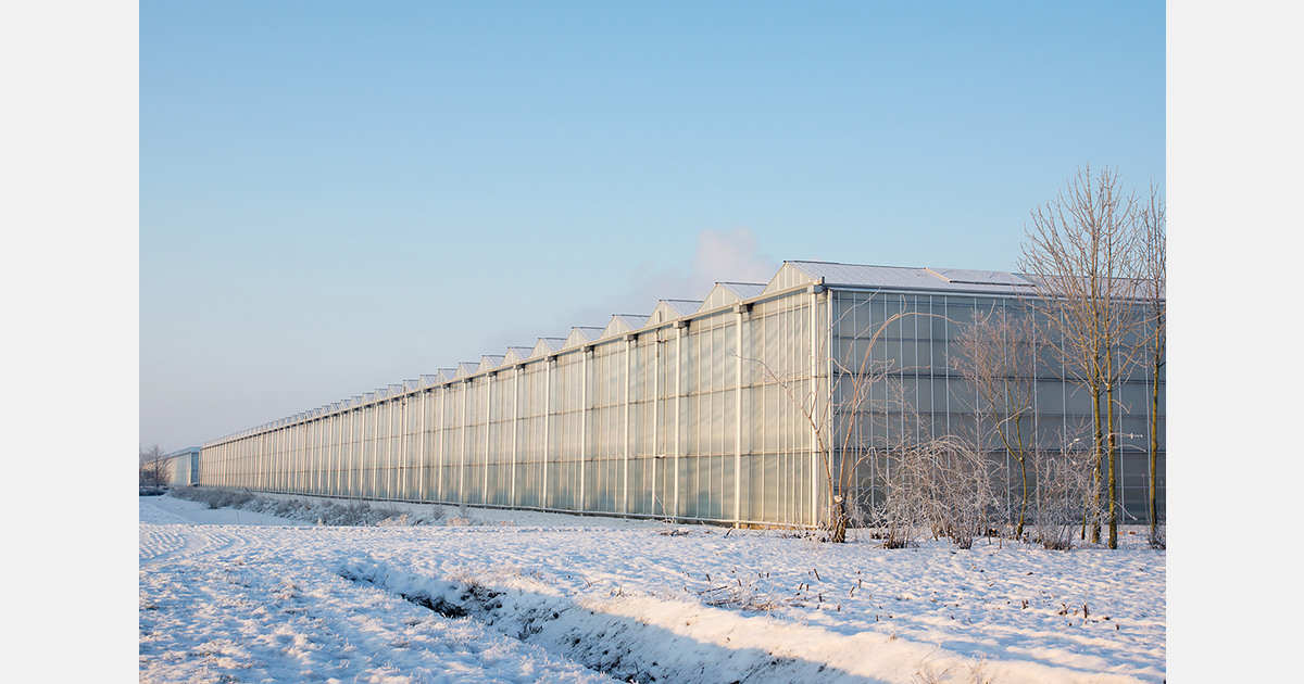 2 engineer brothers develop a remote hydroponic farming system that increases efficiency