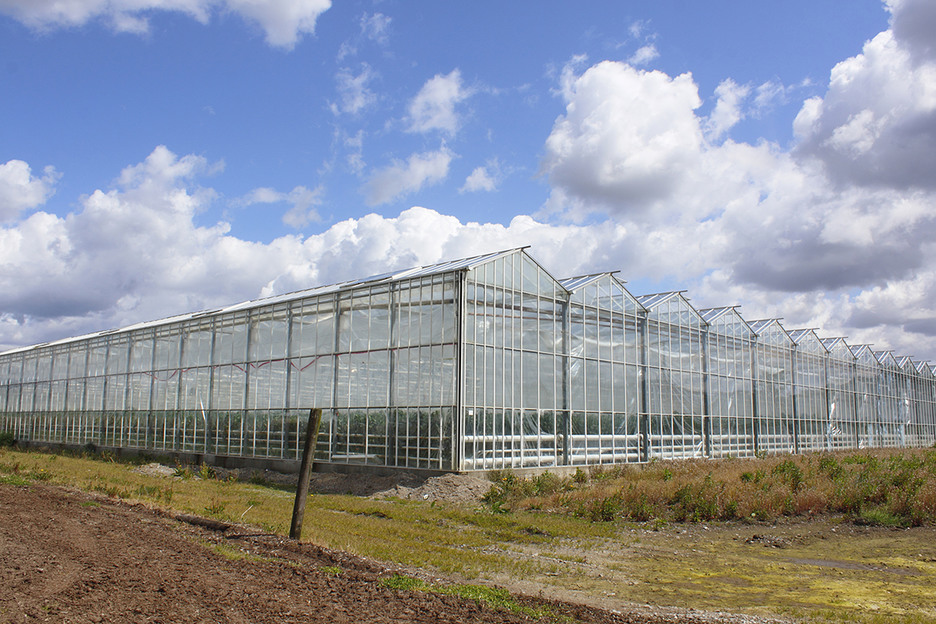 Greenhouse expansion projects