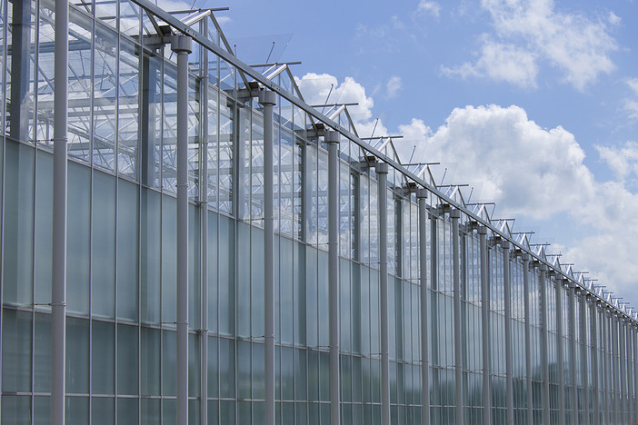 Greenhouse expansion projects