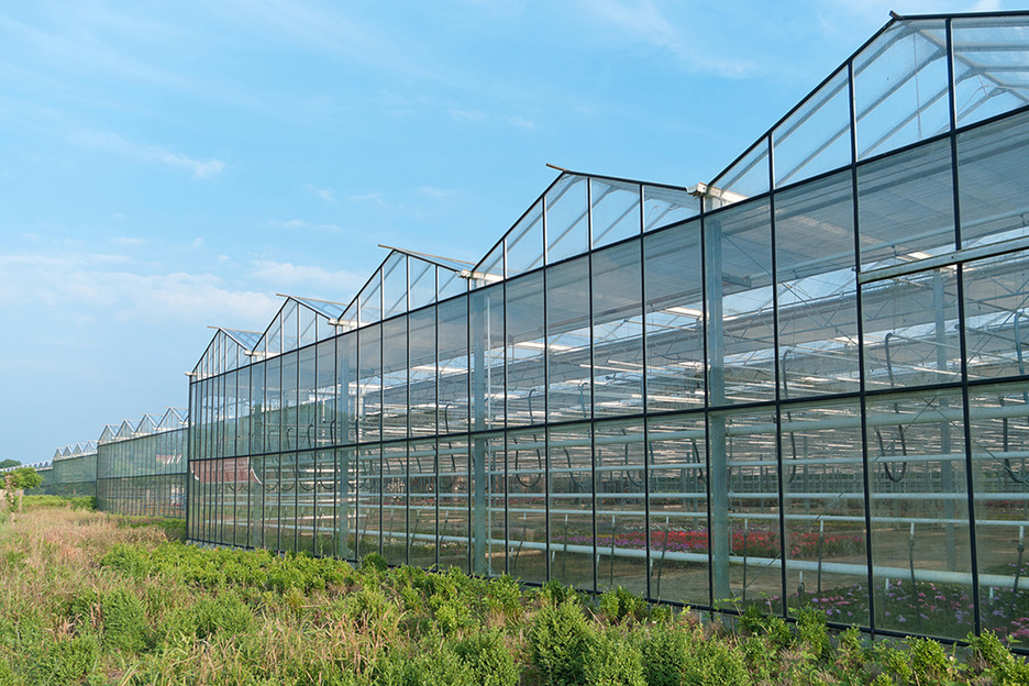 Greenhouse expansion projects