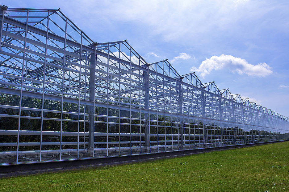 Greenhouse expansion projects