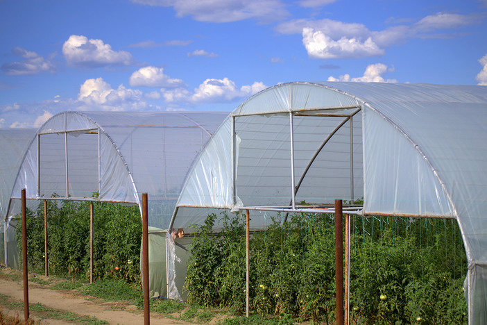 Greenhouse expansion projects