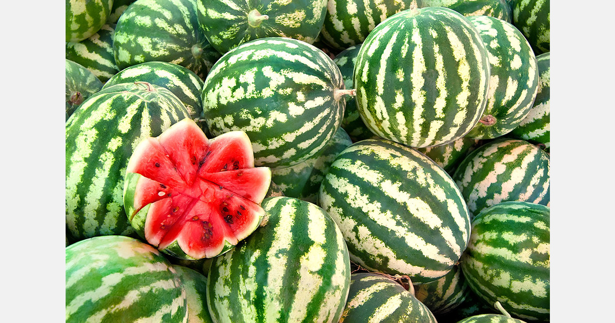 Andalusia's greenhouse watermelon has reached its second-best price in ...
