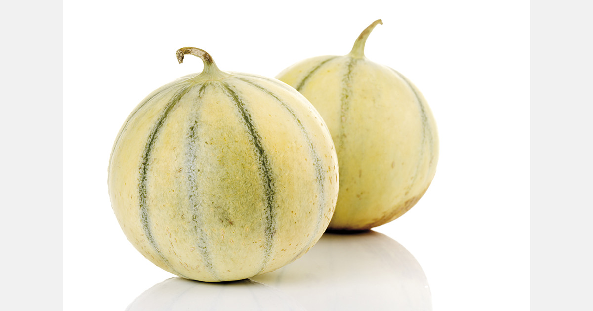 An Israeli company will grow dwarf melons with edible rind in Spain