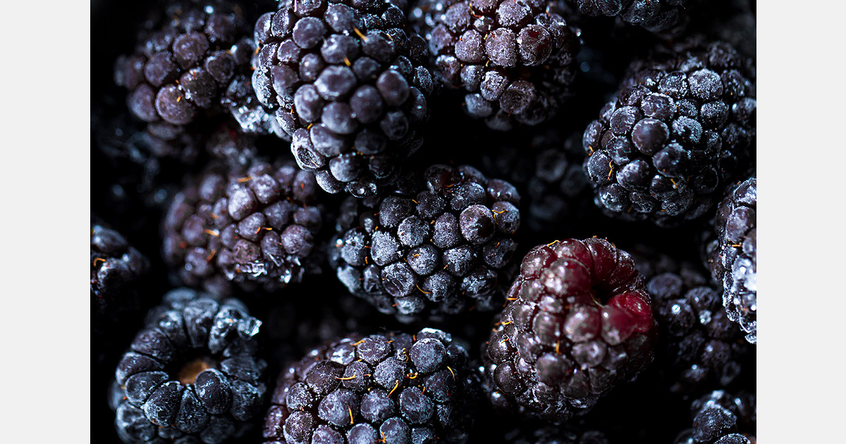 University of Pisa confirms yield and quality gains in Loch Ness ...