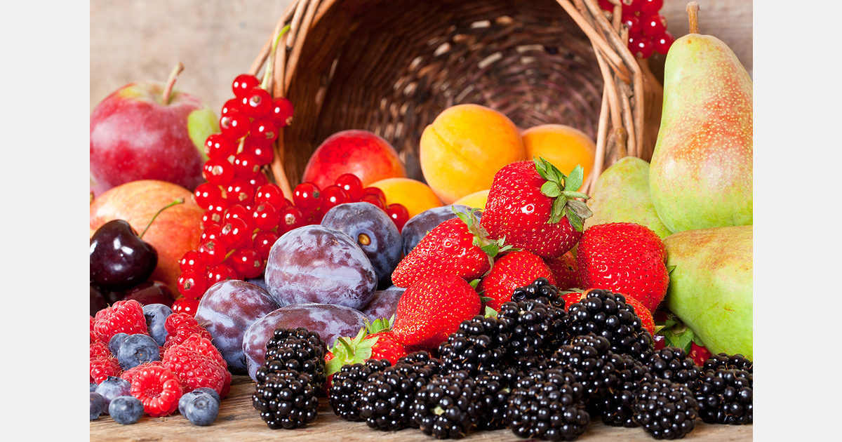 Berry yields in Moldova expected to drop in 2025, prices likely to rise