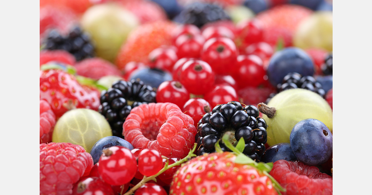 Mexican berry and tomato exports drop, avocados surge