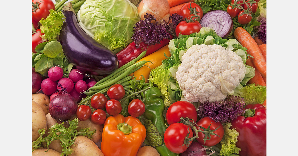 Vegetable farming concerns in regions of Bangladesh