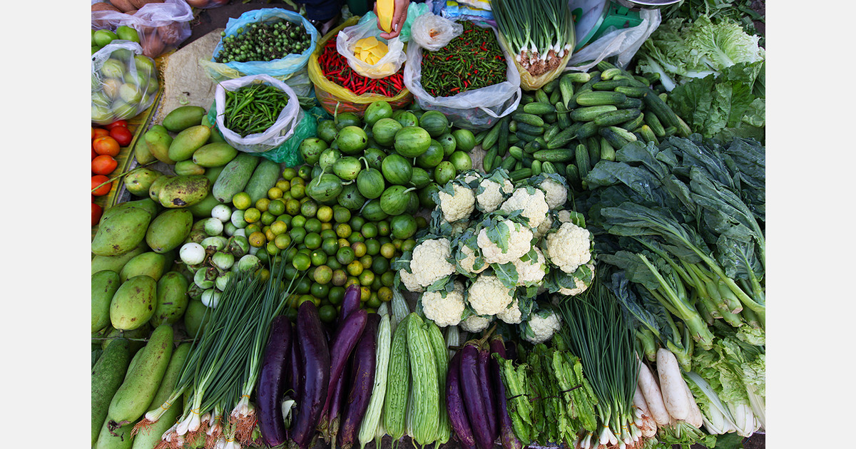 Vegetable production crisis looms in Manipur due to hailstorm