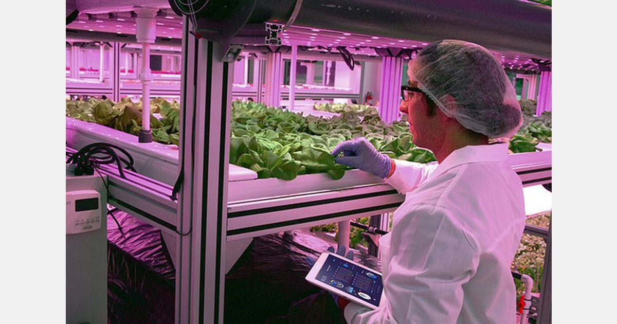 US (TX): Kalera to open Texas’ largest vertical farming facility in Houston