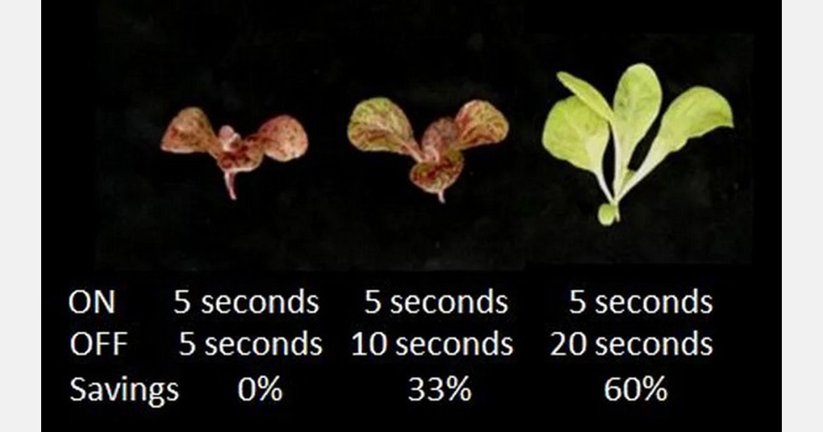 Micro-naps for plants