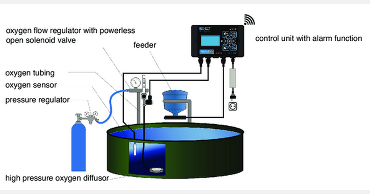 Monitoring and controlling water quality in aquaponics