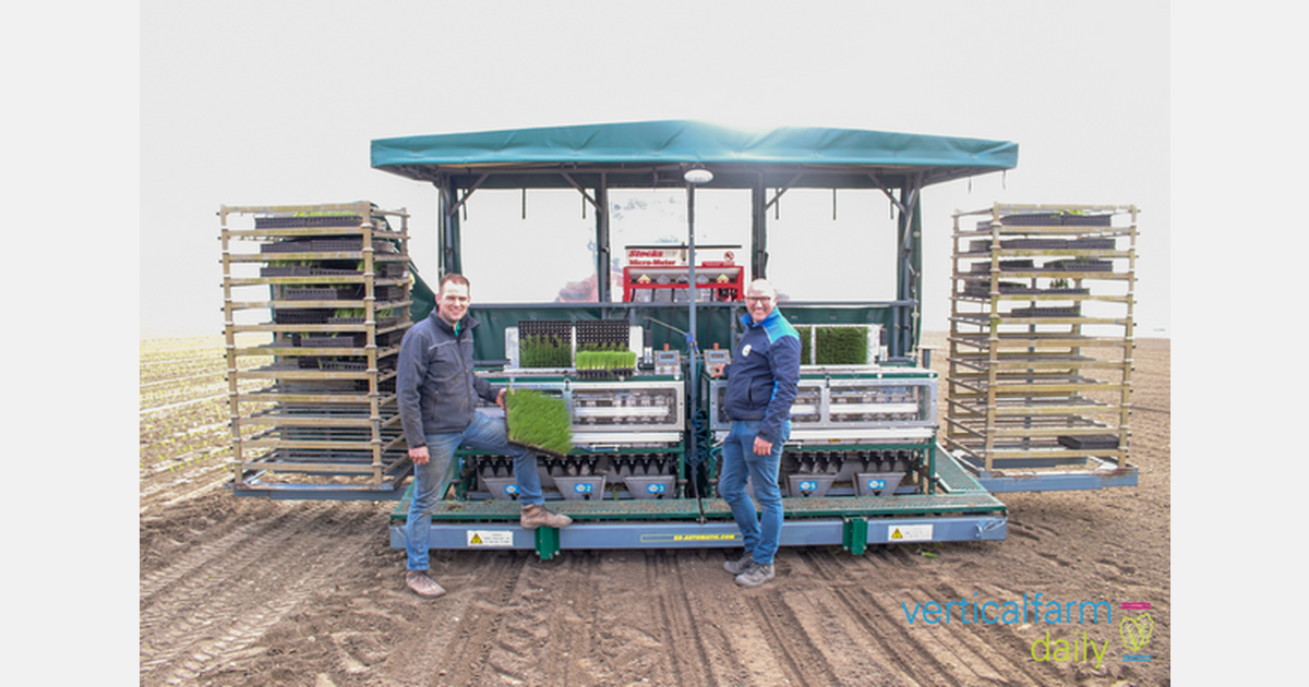 Dutch growers acquire 5-hectare greenhouse and transition herb ...