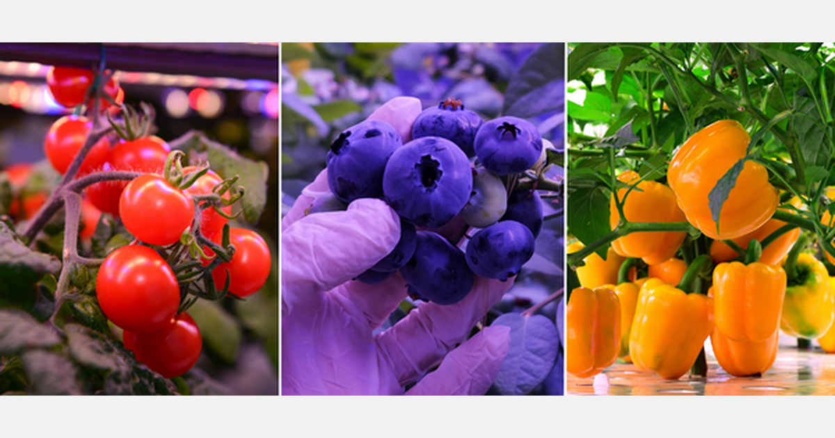 "The base of our technology is R&D in product development"