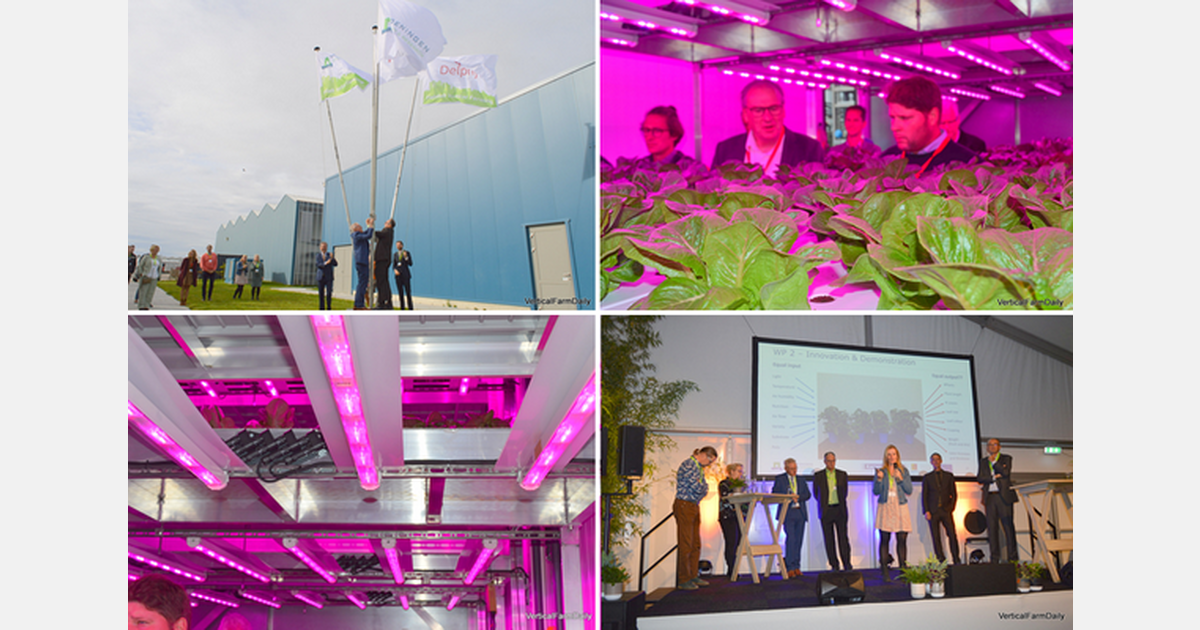 NL: Opening of Delphy and WUR vertical farm in Bleiswijk