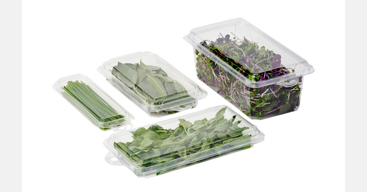 Plant-based packaging tailored to the customers needs