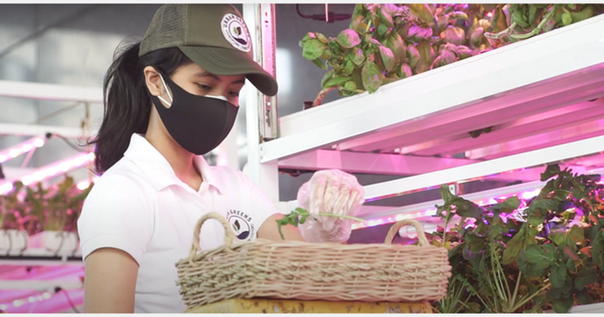 Coop Denmark and Infarm announce nationwide expansion