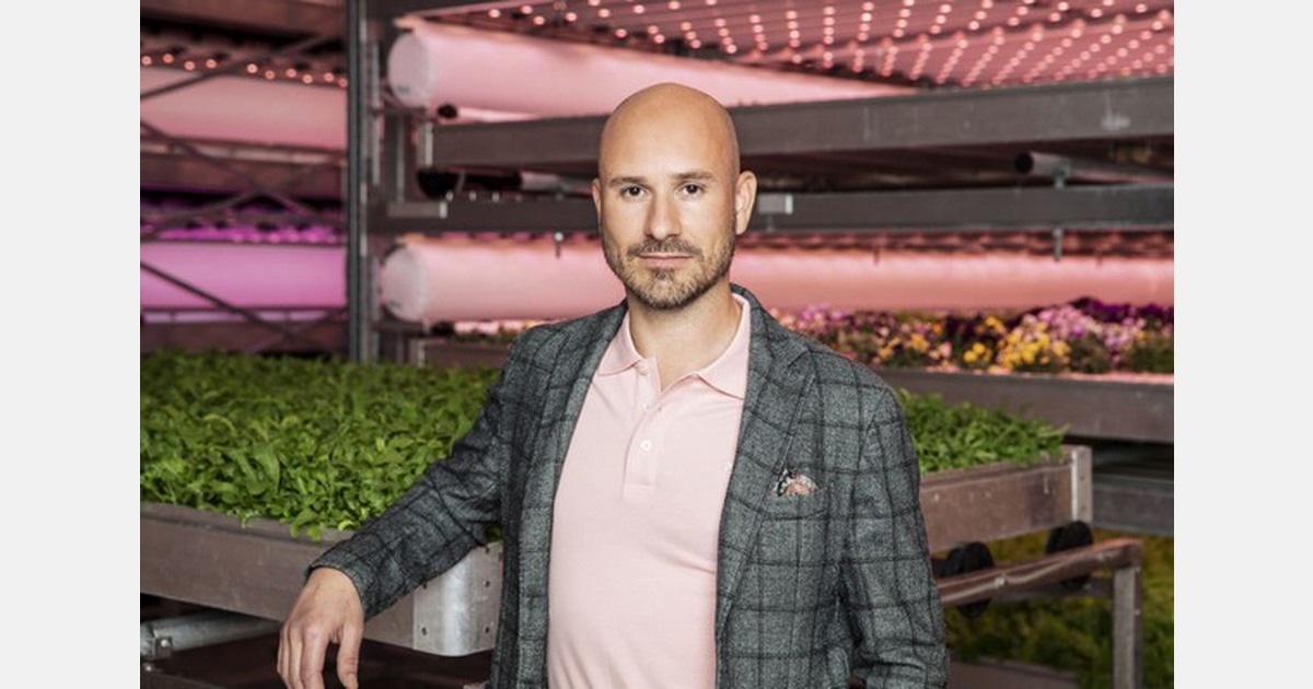 Signify LED lights powers Iceland vertical farm