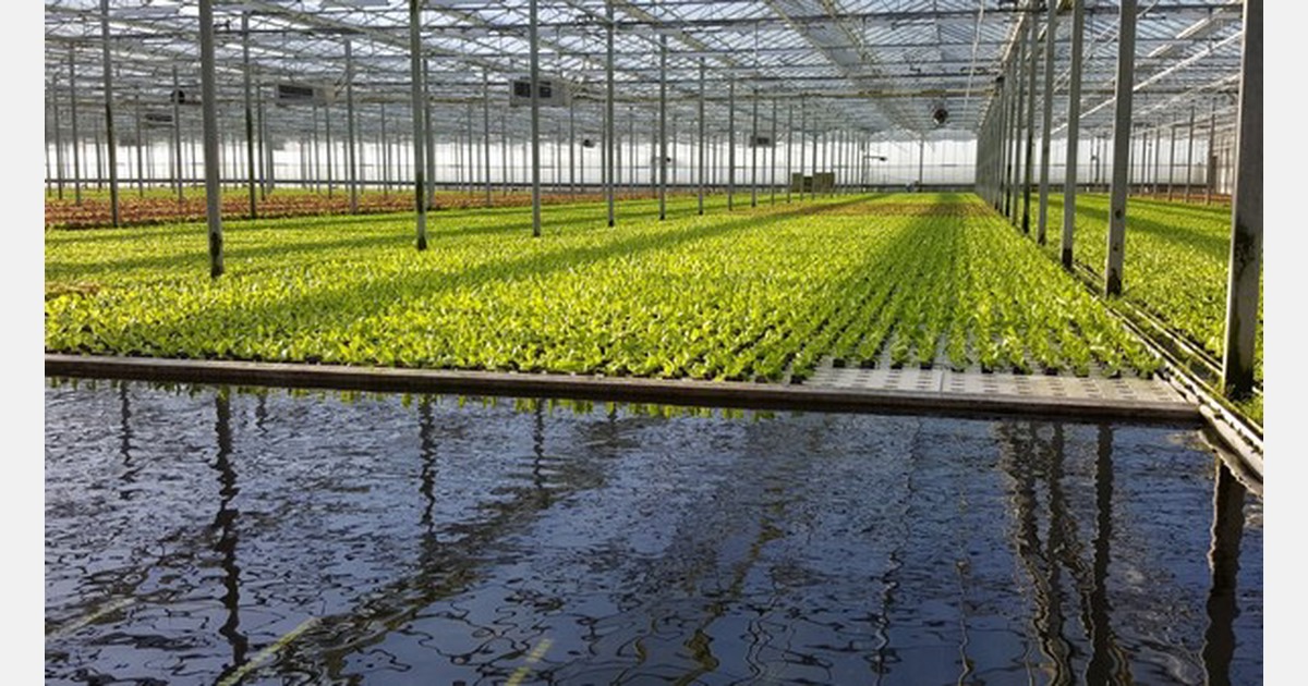 Thorough cleaning of floating rafts and channels in hydroculture systems