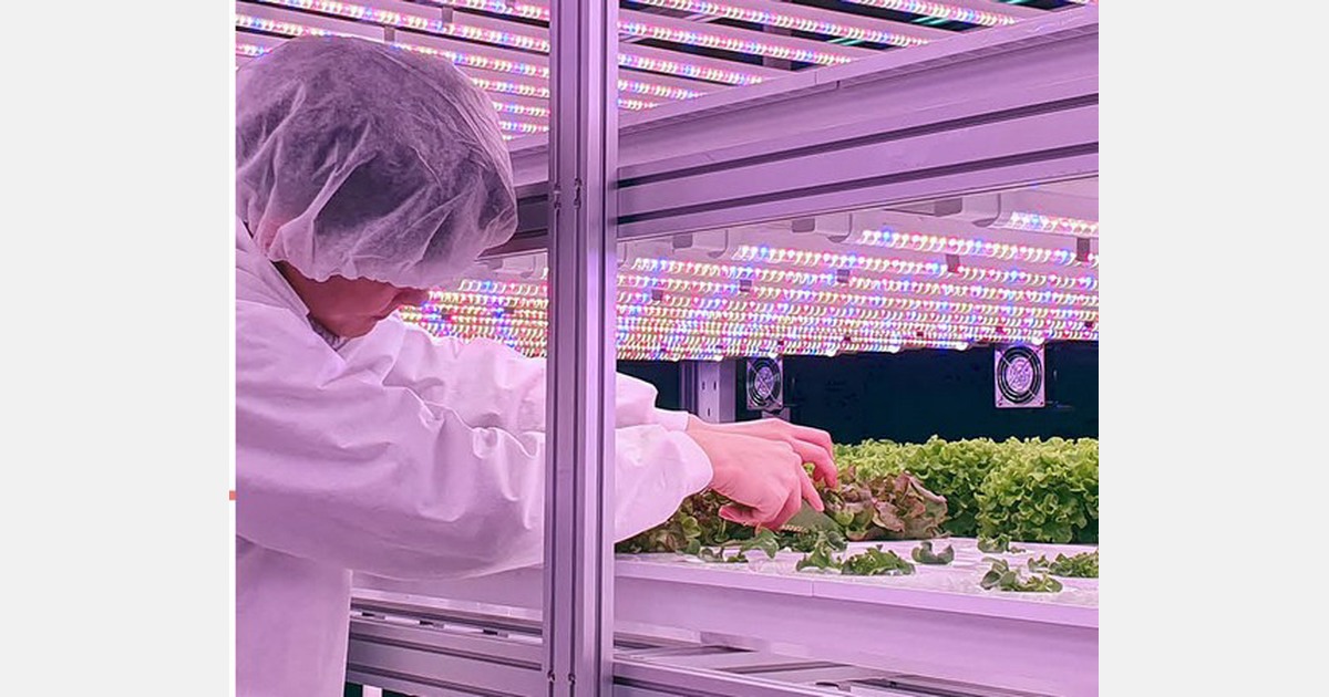 Learn from the icons of indoor farming at I-Grow Inside