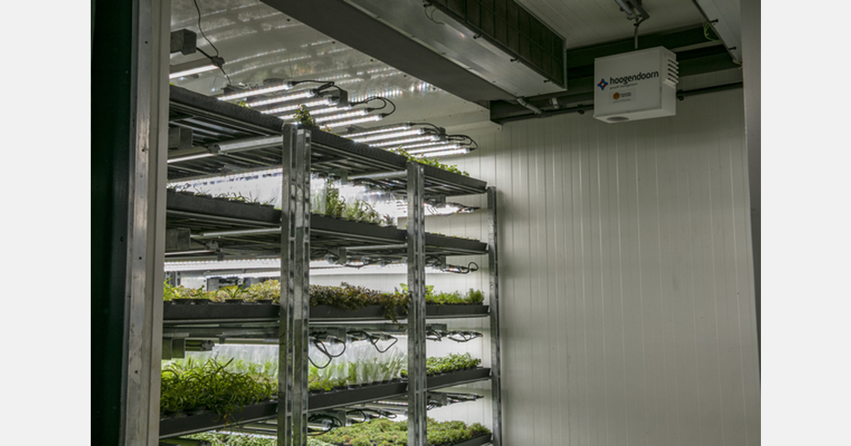 Keeping your climate stable: HVAC and vertical farms