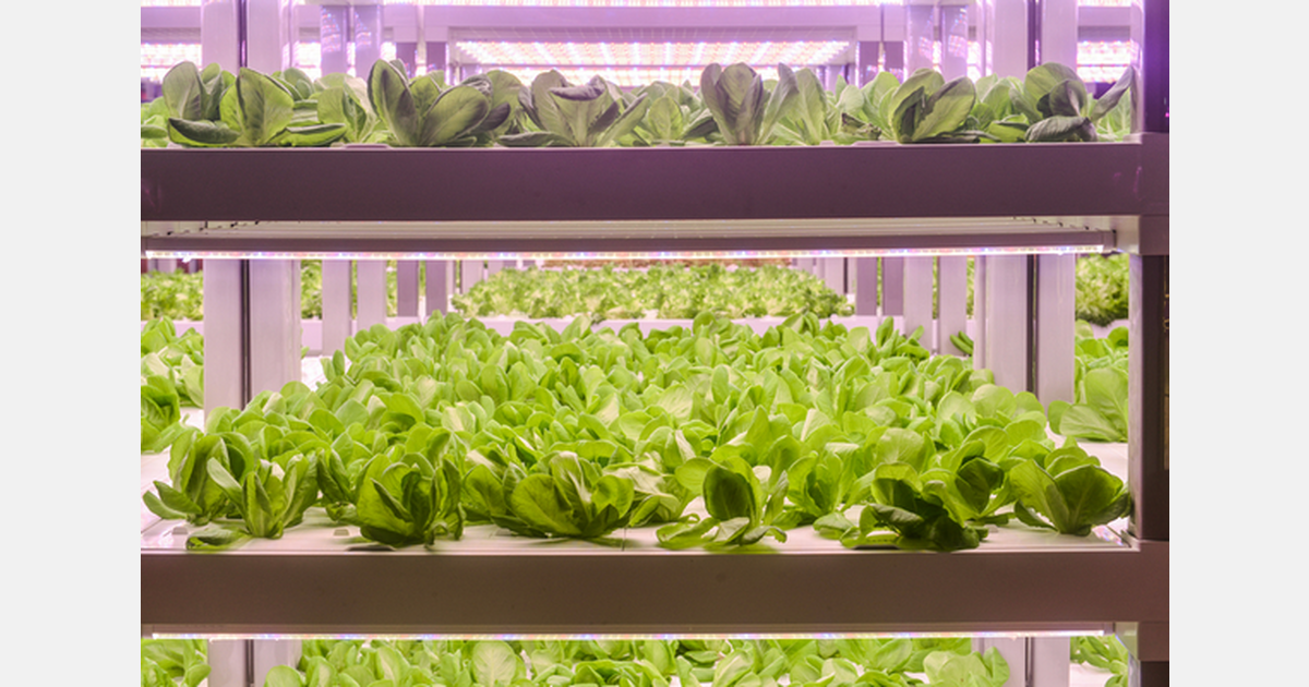 A new food system that will contribute to feed the world