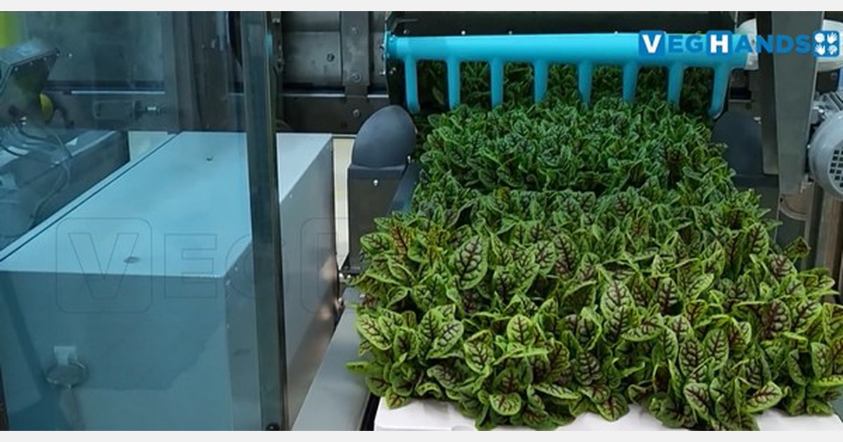 How to solve efficiency in farm processing