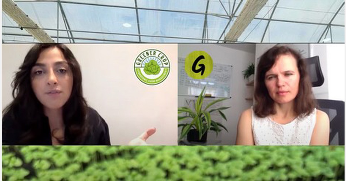 How to grow greener crop in UAE?