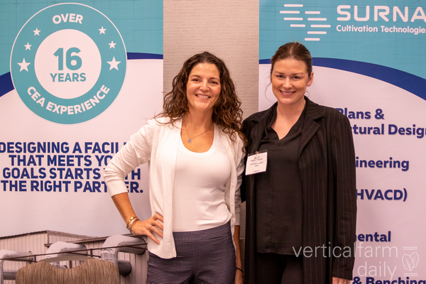 The right mix of CEA players allows for some interesting discussions