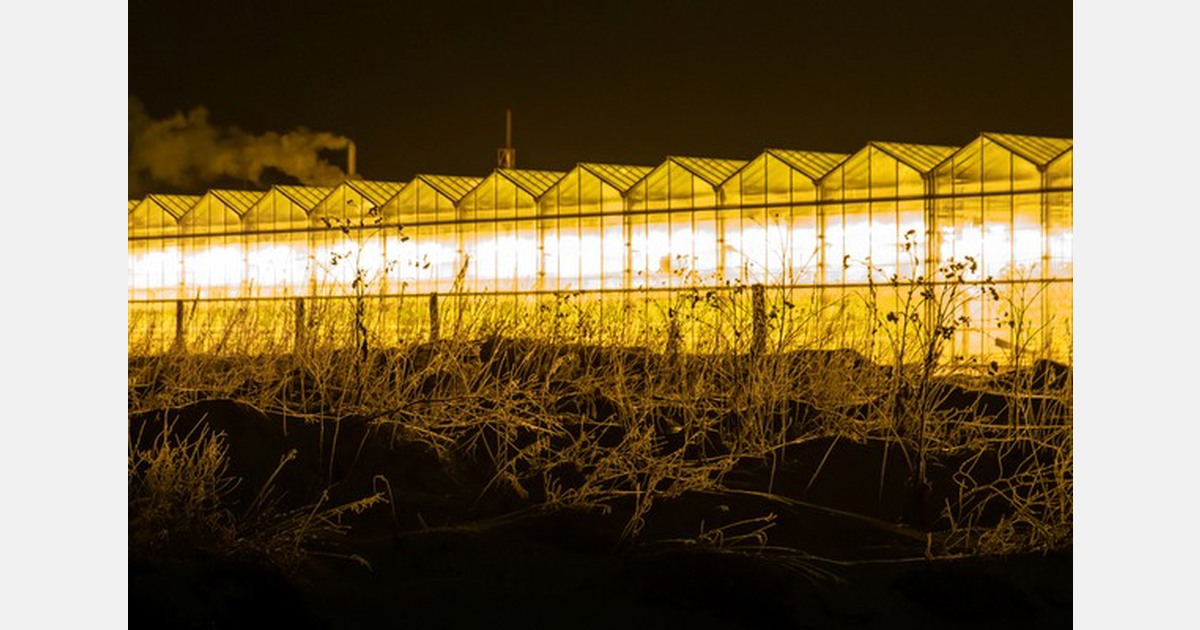 Qatar: Tech advancement offers growth opportunities in agri sector