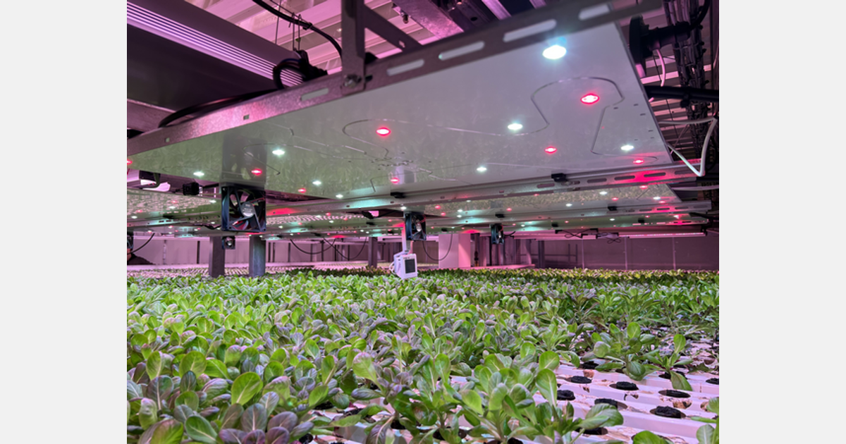 What is the best way to approach energy-efficient LEDs these days?