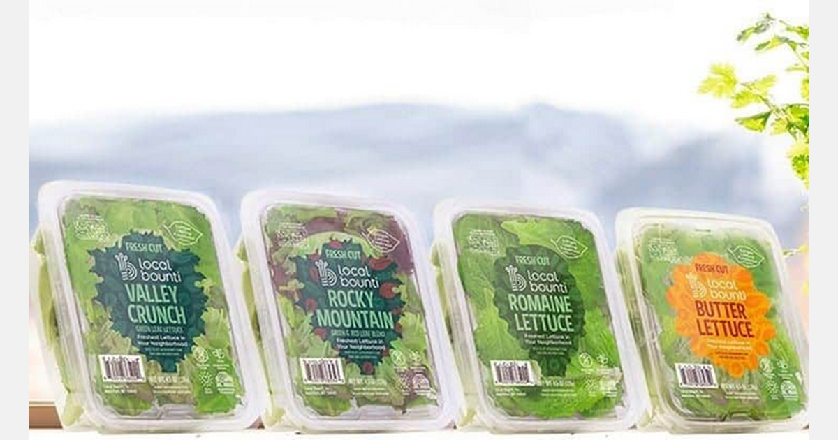 US (TX): Local Bounti starts construction of 6-acre CEA facility in ...