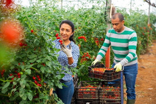 Grower in the Spotlight