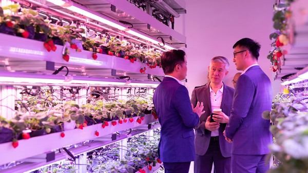 Singrow announces expansion to Malaysia and Thailand through franchise-farm partnerships