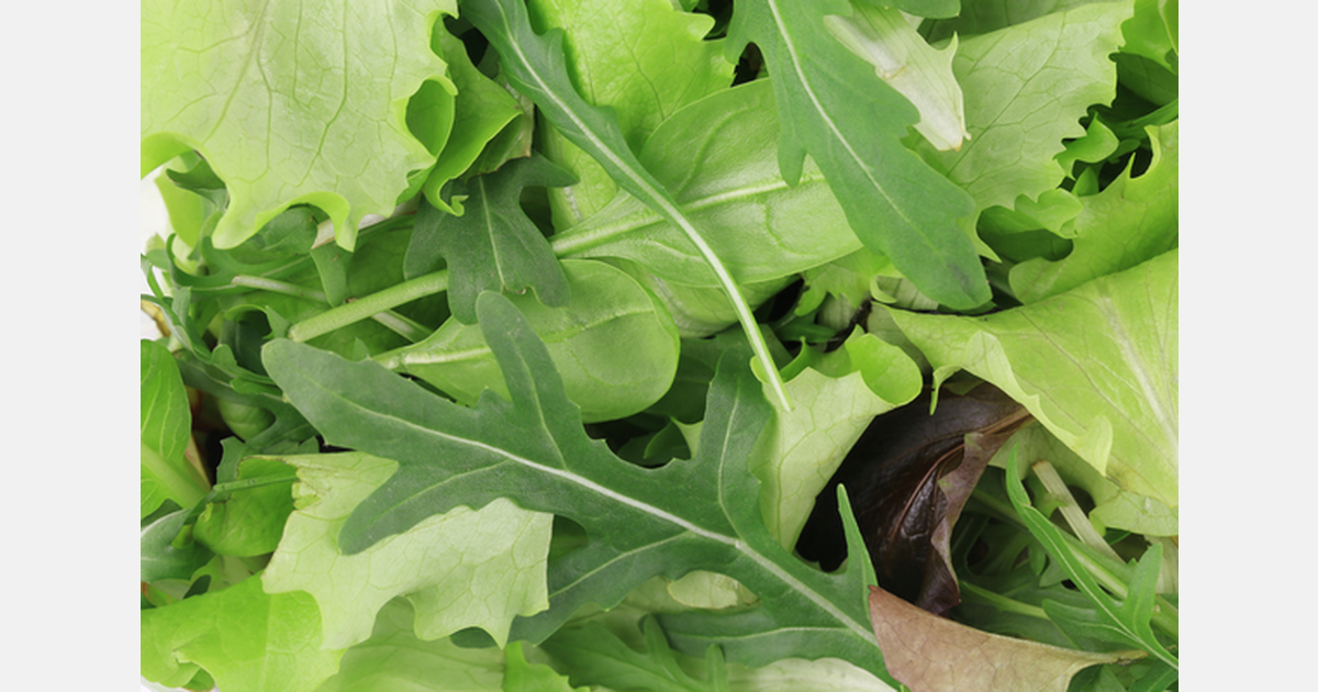 Enhancing lettuce and basil cultivation by applying the Taguchi method