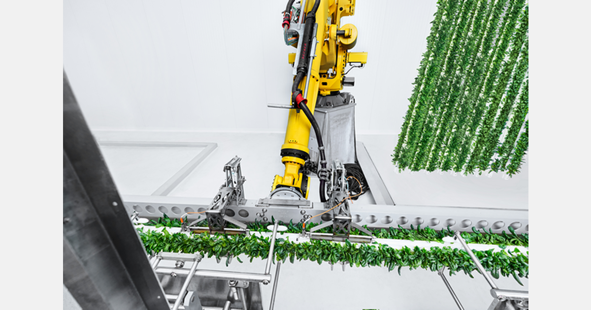 US (CA): Plenty officially opens its Compton farm