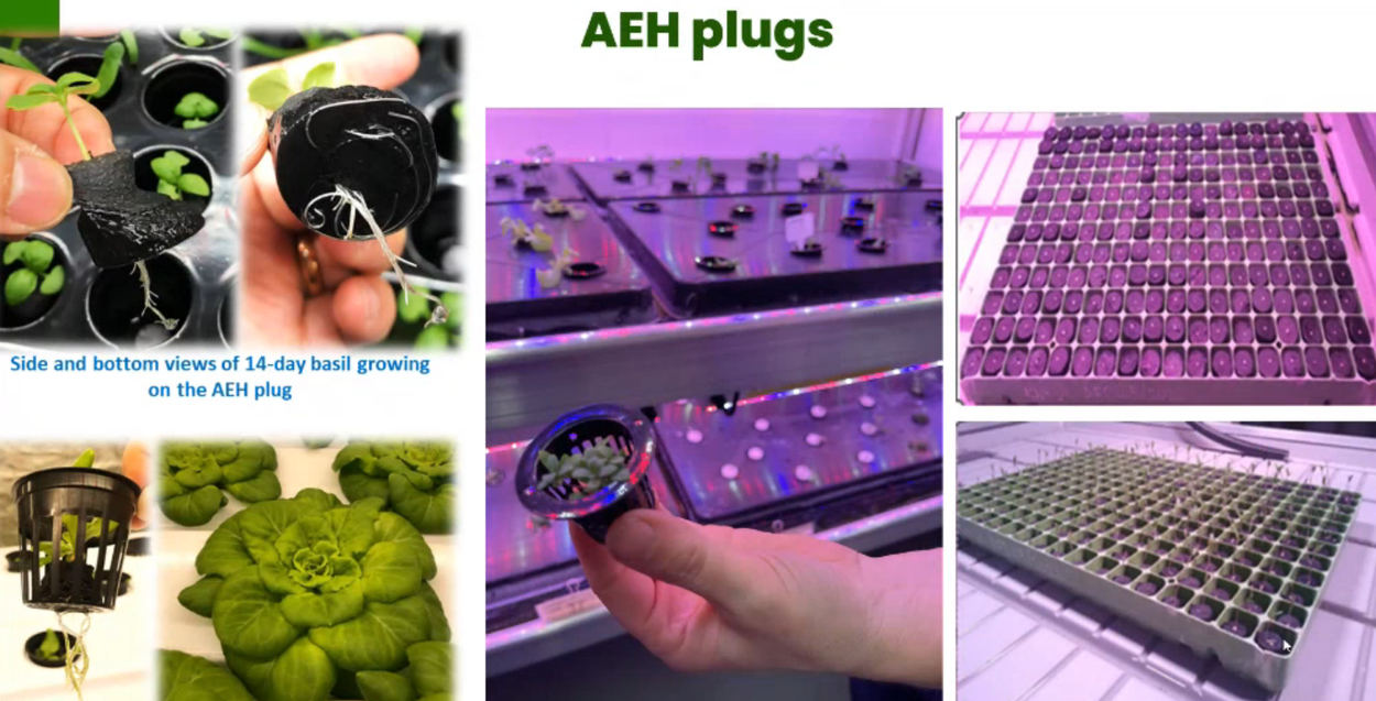 Hydrogel-based substrate shows promising results