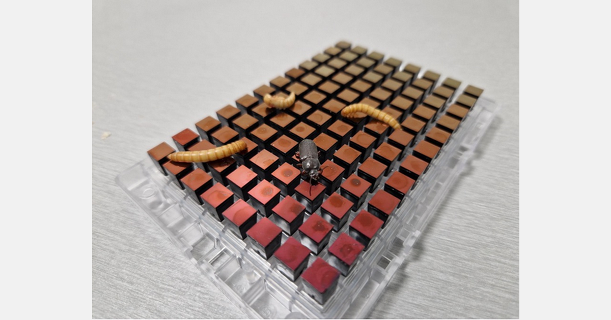 Genotype chip launched for production of insect-based proteins
