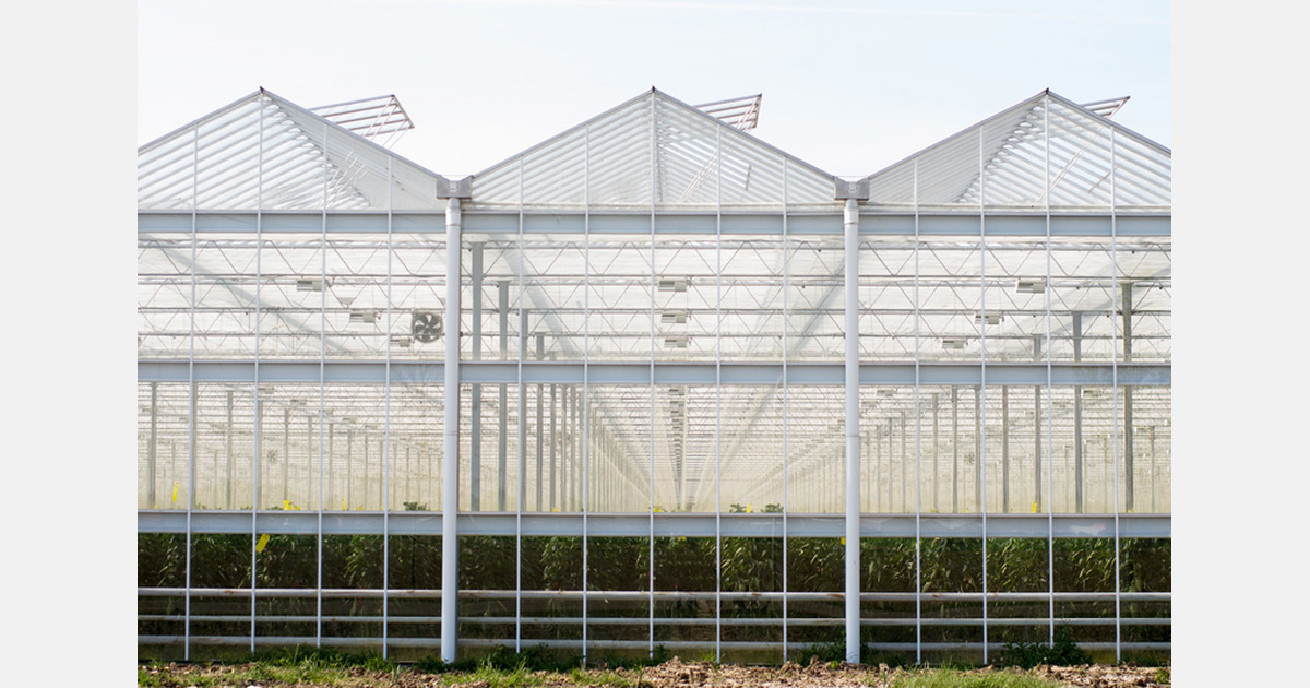 Philippines: Tabuk’s second hydroponic greenhouse farm opens