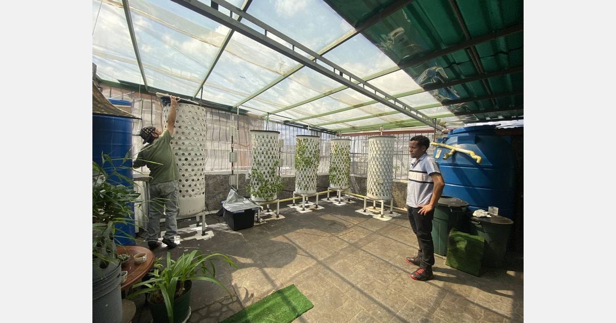 Caracas: With the seeds now sown, will vertical farming take off in ...