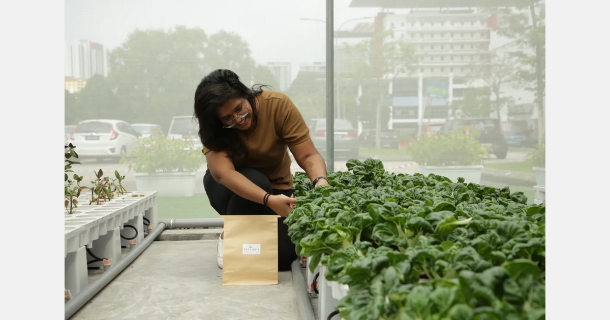 Malaysia: University aims to improve local food landscape with urban farm