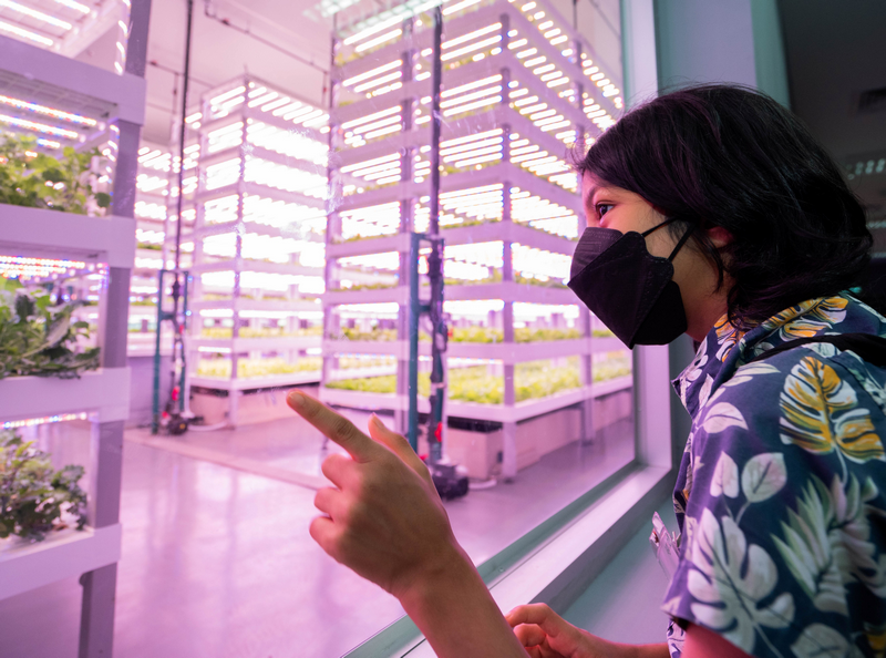 Malaysia: 750m2 EduFarm opened in Kuala Lumpur city mall