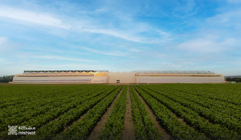 Saudi Arabia: "Greenhouse and vertical farming can undoubtedly be ...