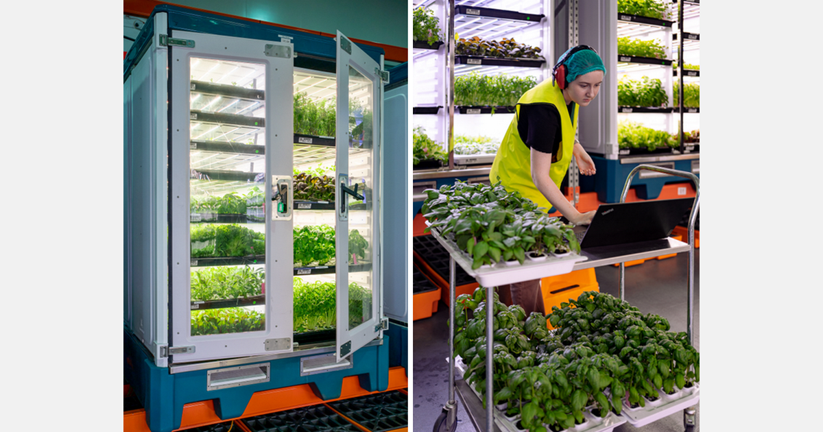 Australia: The future of vertical farming is about right sizing rather ...