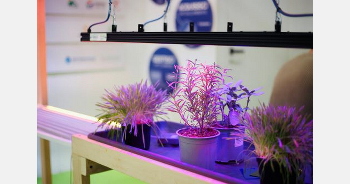 CEA, indoor and vertical farming: the new generation of agriculture at ...