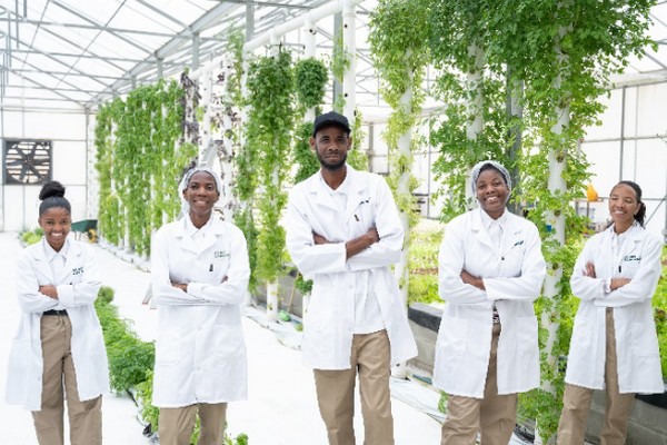 Namibia: Innovation hub officially launches