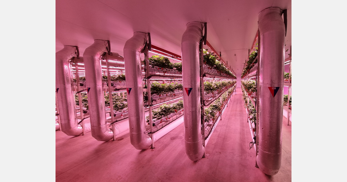 Farm as a Battery: Harnessing crop growth flexibility for sustainable ...