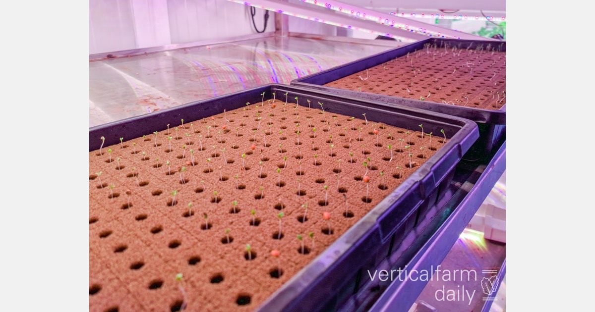 US (MI): MDARD announces specialty crop block grant opportunity